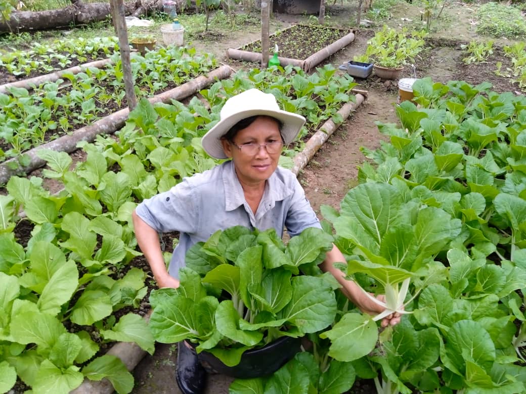 More than 280 KB families learn sustainable farming – © Borneo Echo